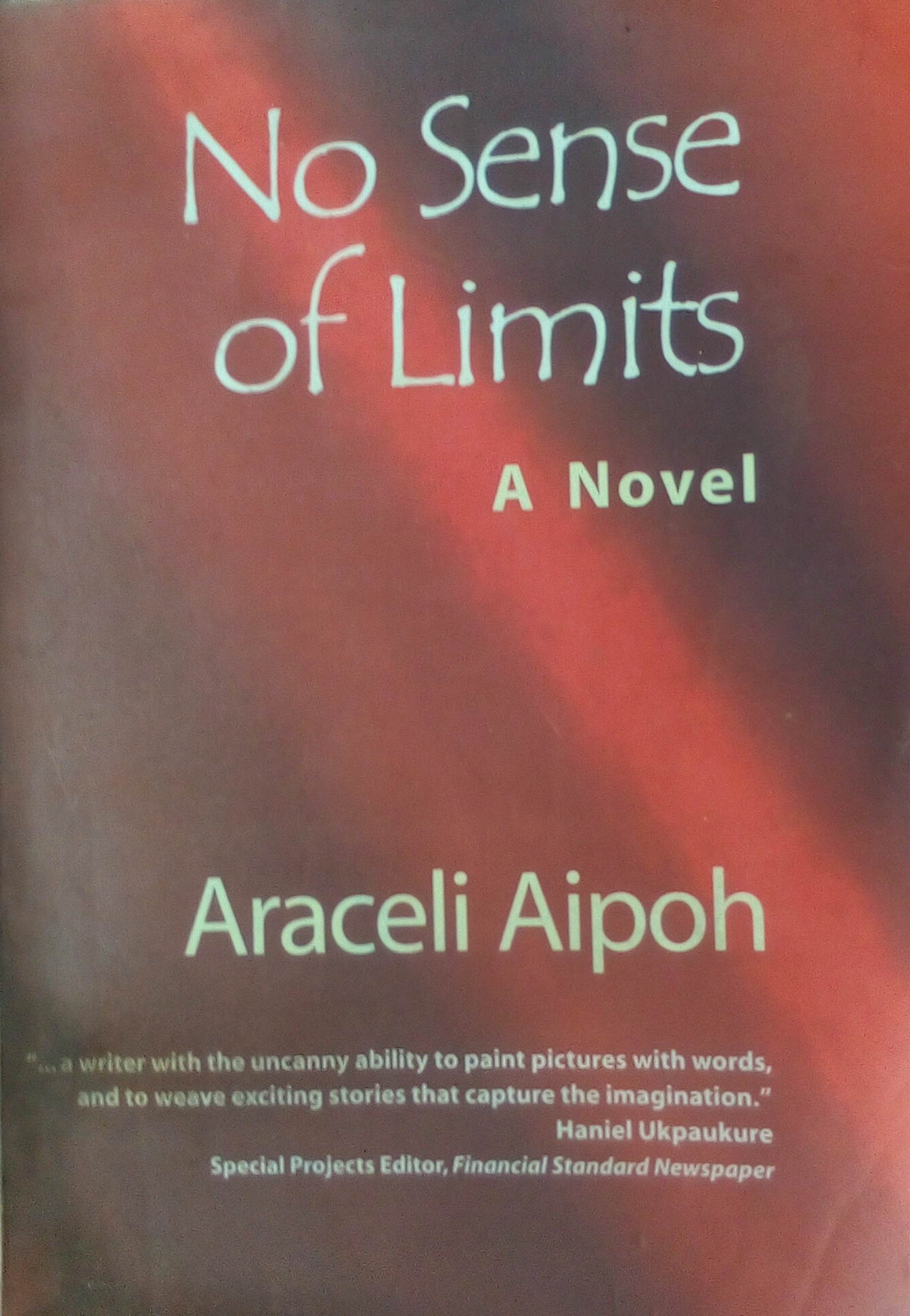 No sense of limits in Lagos – Meiza