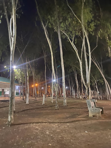 Unity Park: Coal City’s Finest Architectural Masterpiece – Meiza