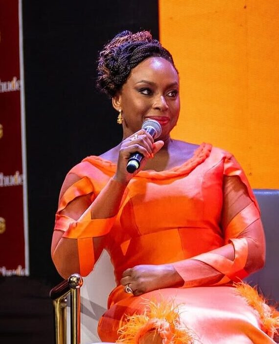 After Chimamanda Adichie, maybe bearing kids through surrogacy becomes ...